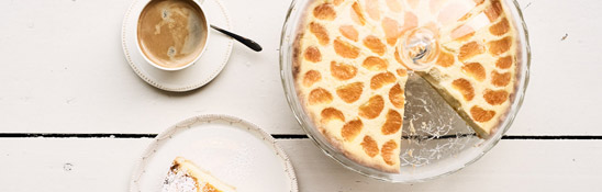 ANIMO! – Das Ulmer Manufaktur-Café am Karlsplatz